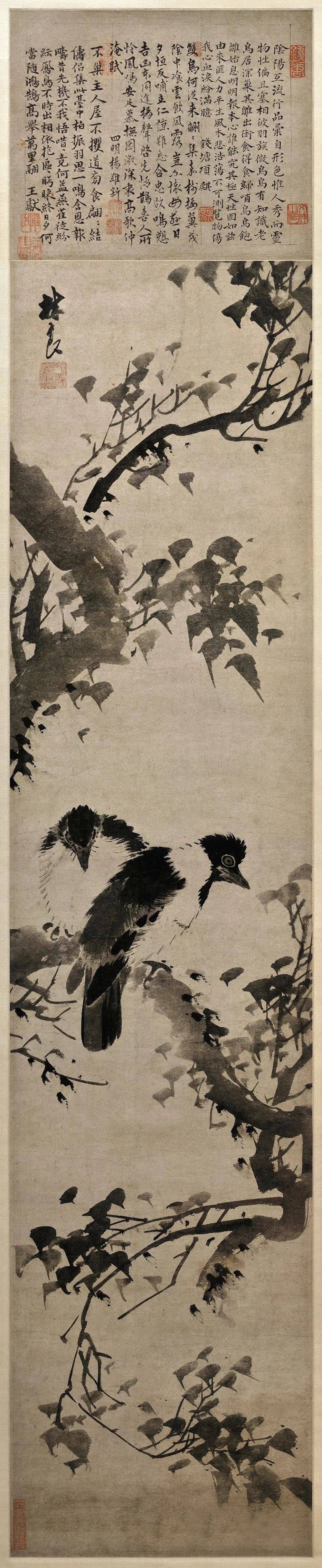 文章图片