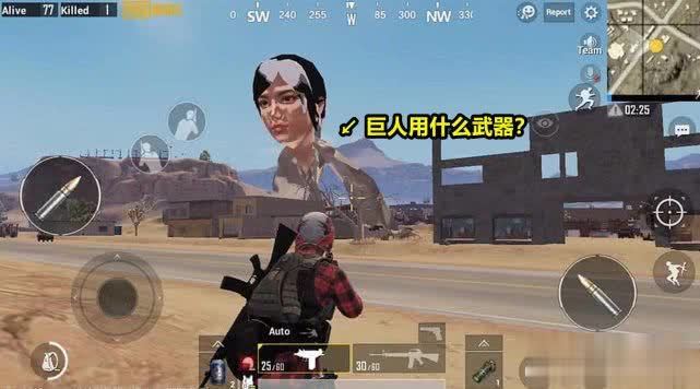 文章图片
