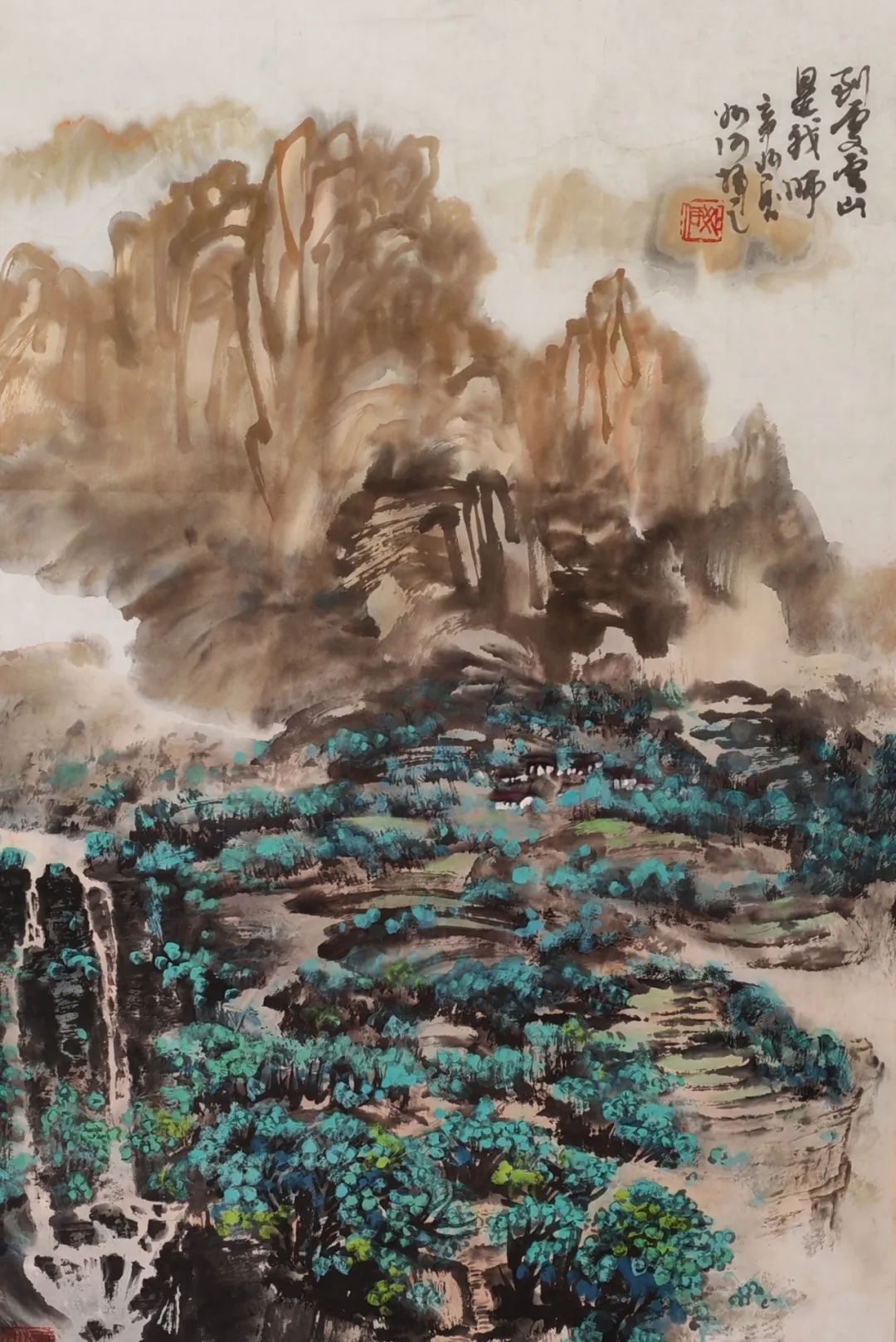 文章图片