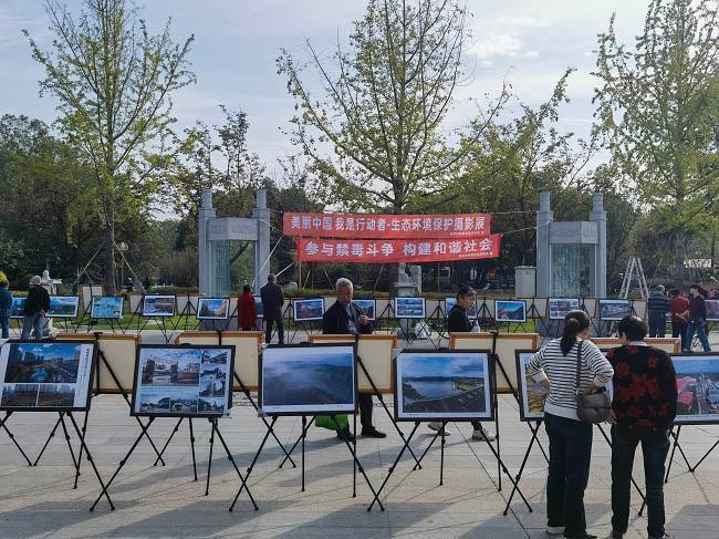 文章图片