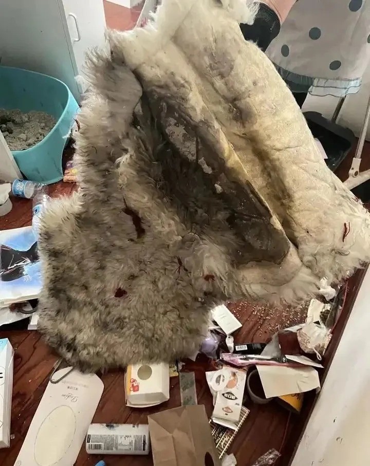 文章图片