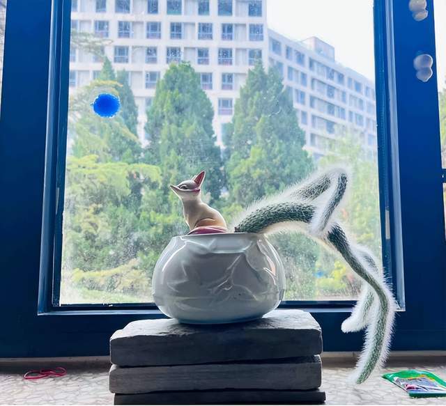 文章图片