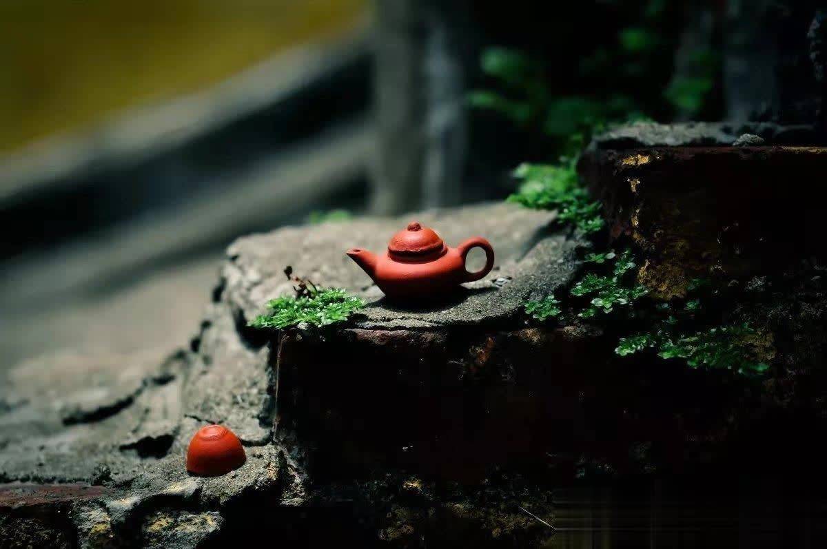 文章图片