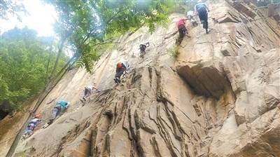 文章图片