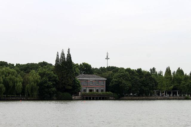 文章图片