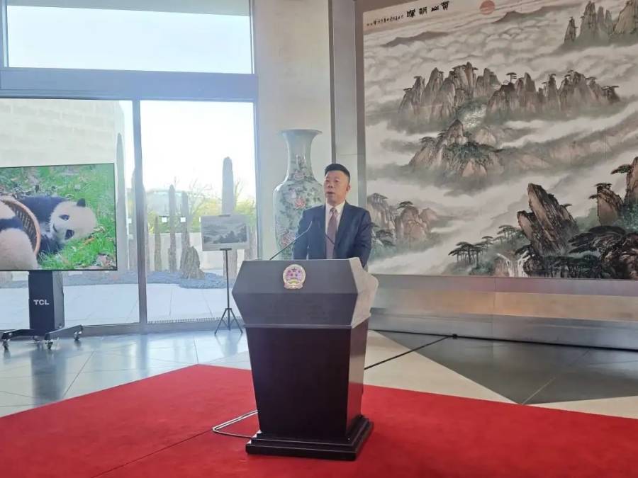 文章图片