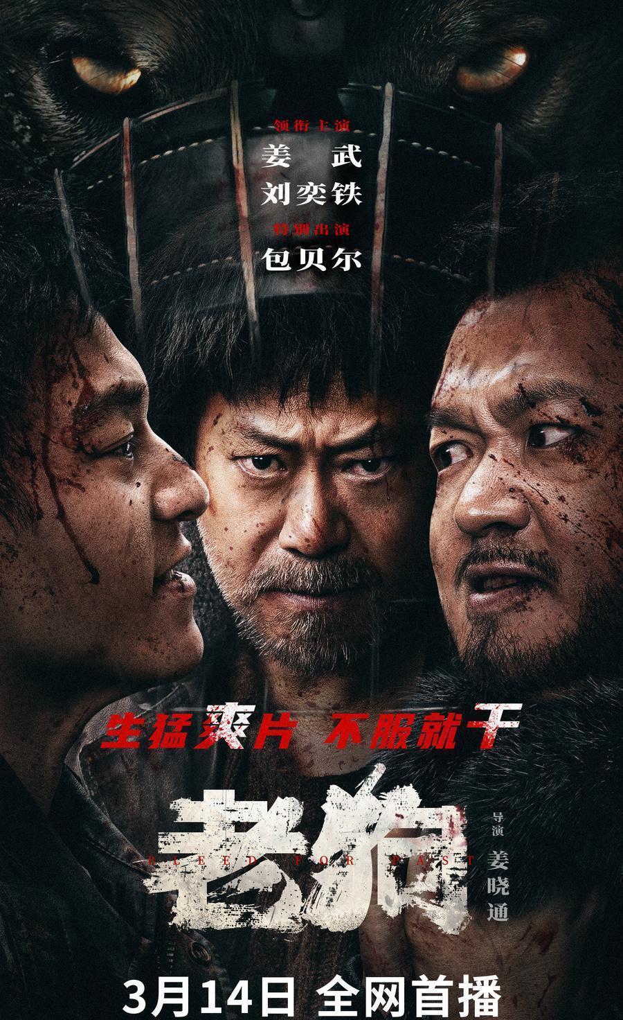 文章图片