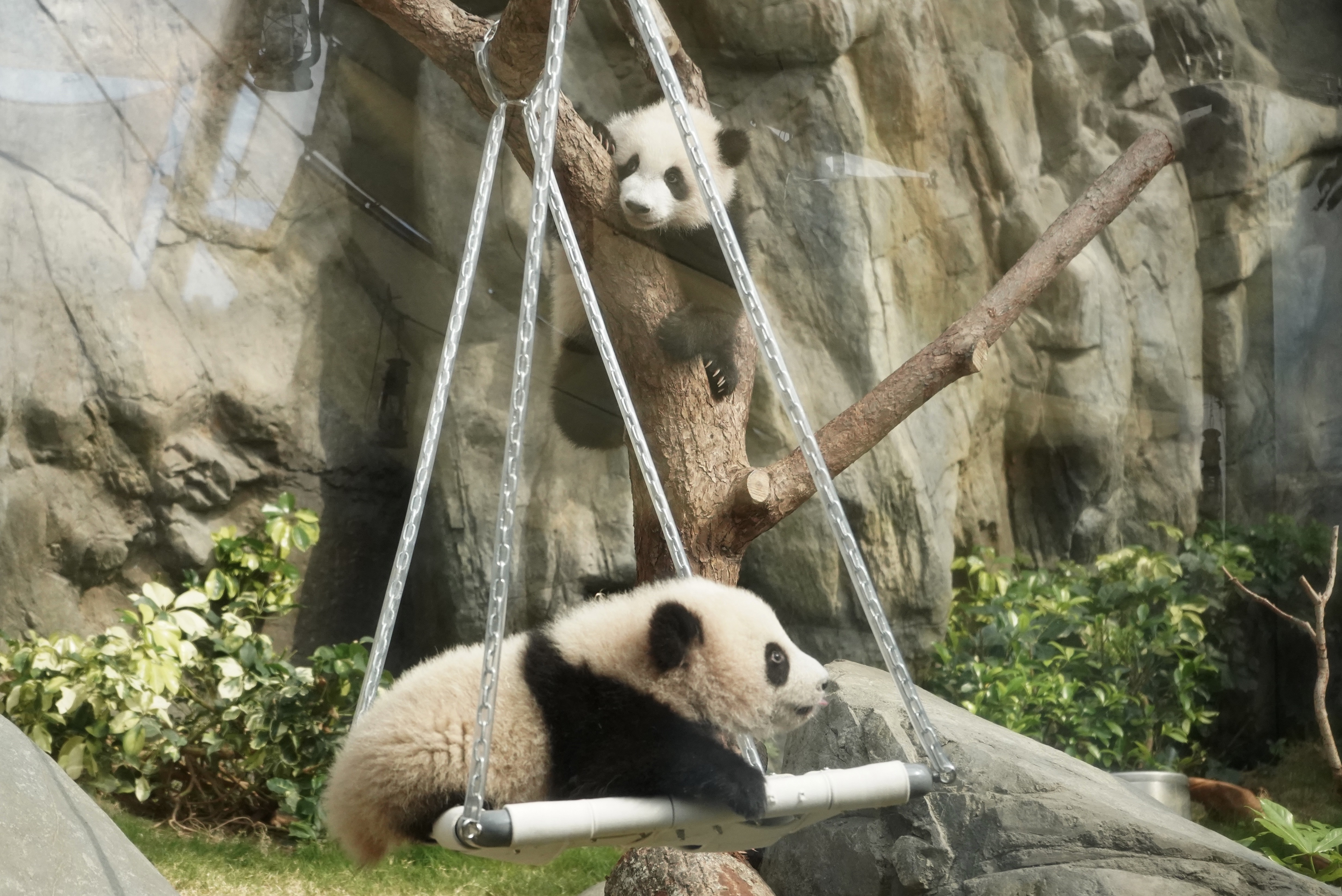 文章图片