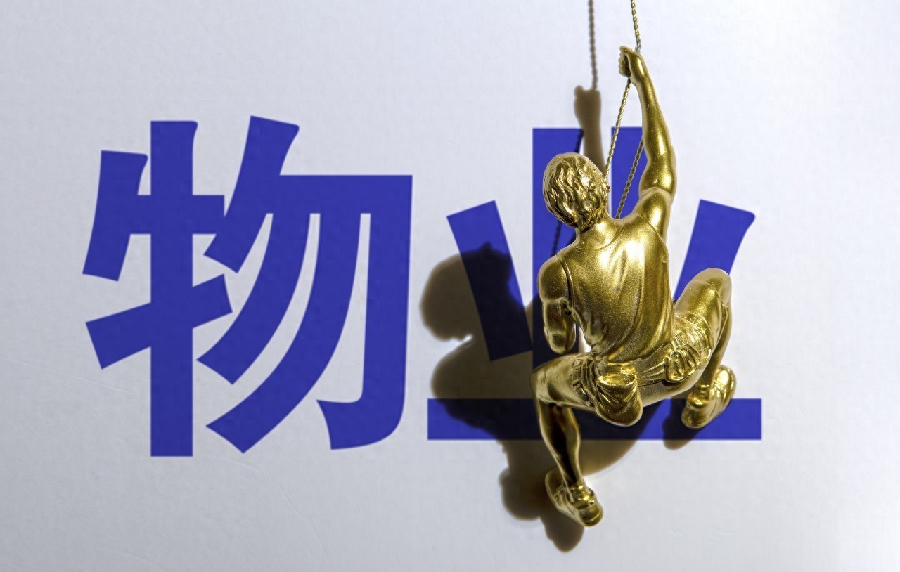 文章图片