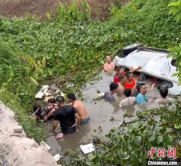 文章图片