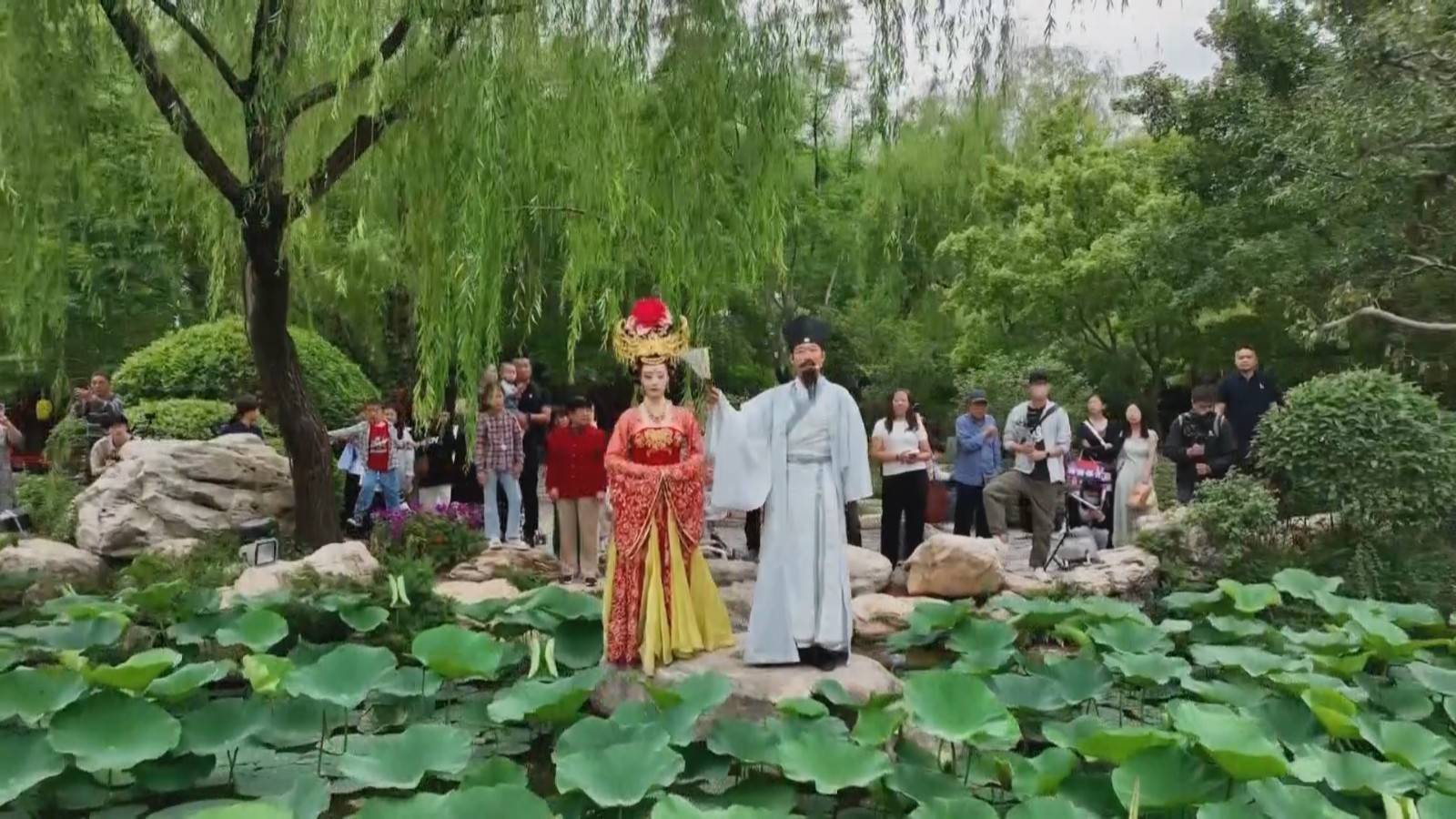 文章图片