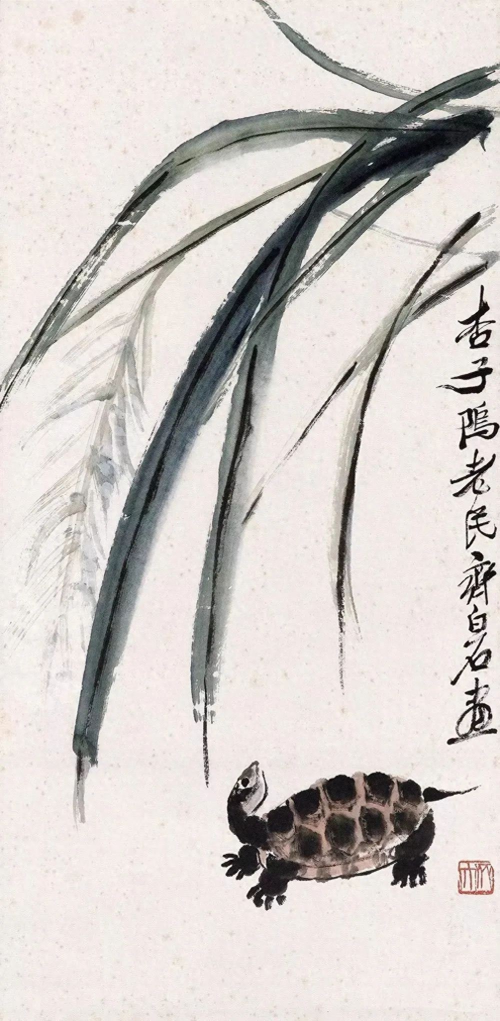 文章图片