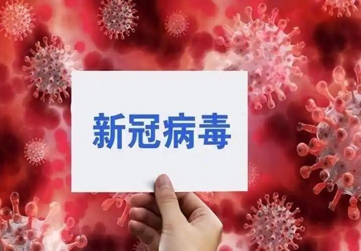 文章图片