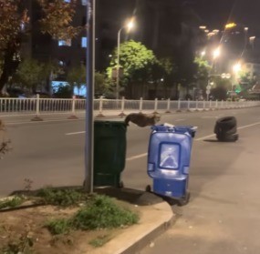 文章图片