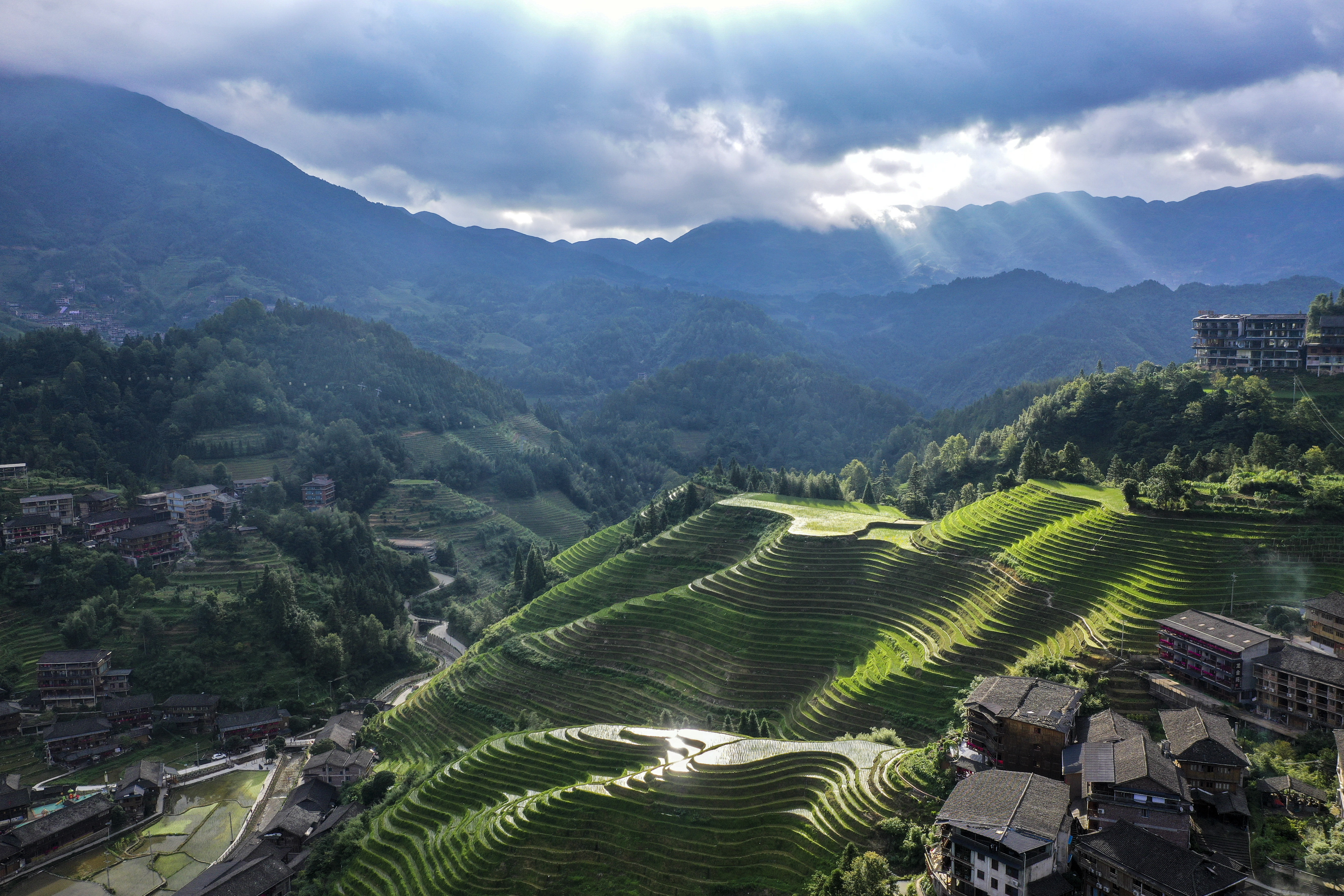 文章图片