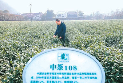 文章图片