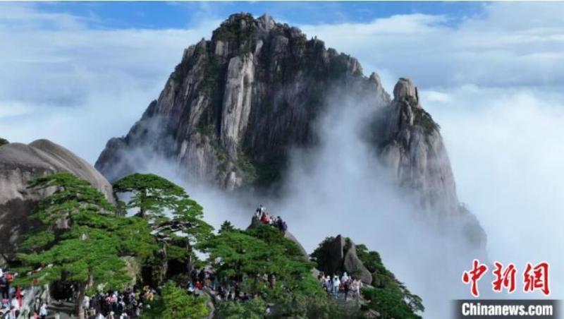文章图片