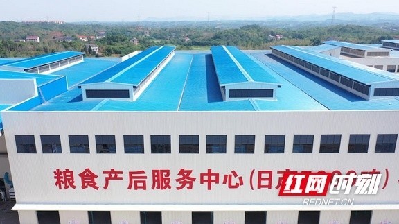 文章图片