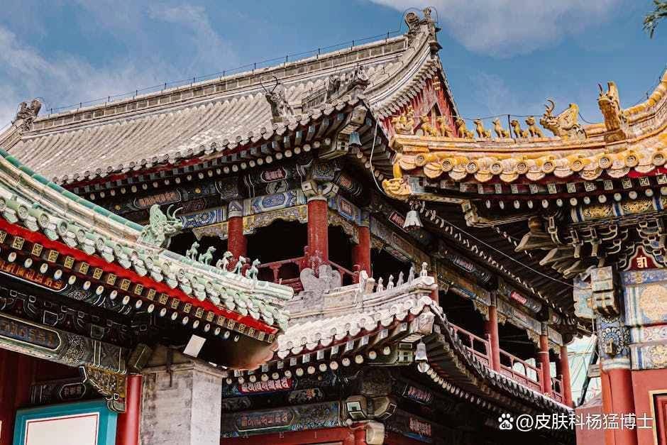 文章图片