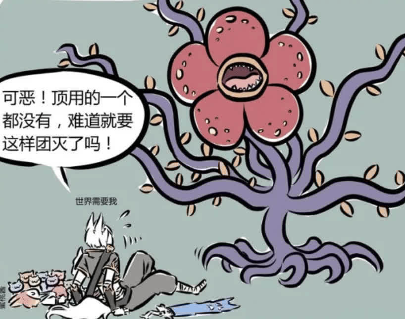 文章图片