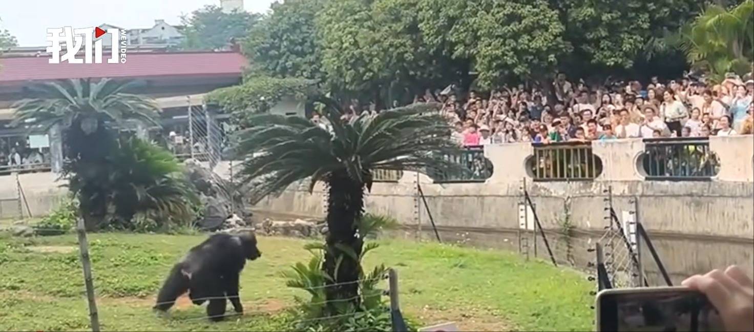 文章图片