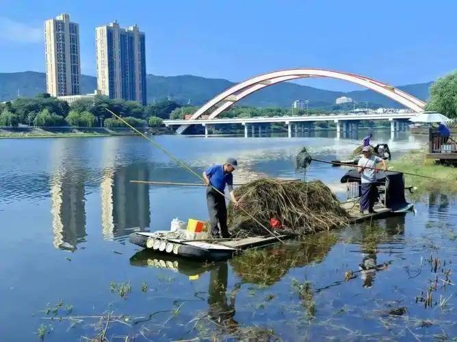 文章图片