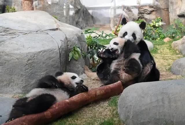 文章图片