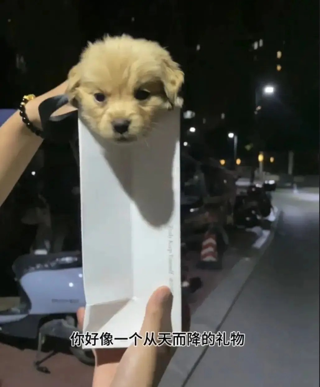 文章图片