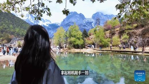 文章图片