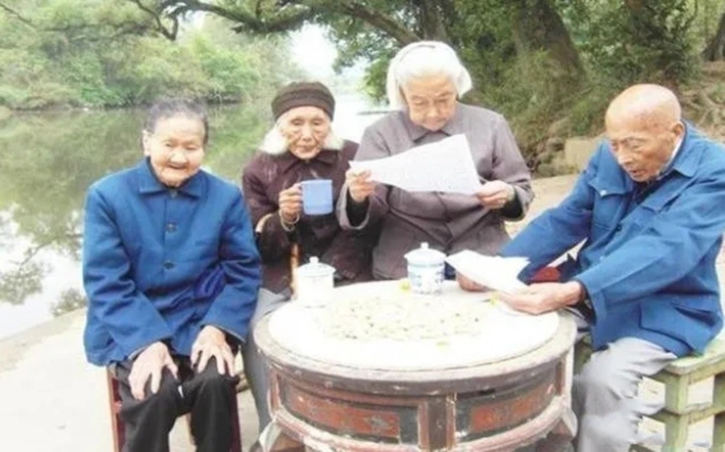文章图片