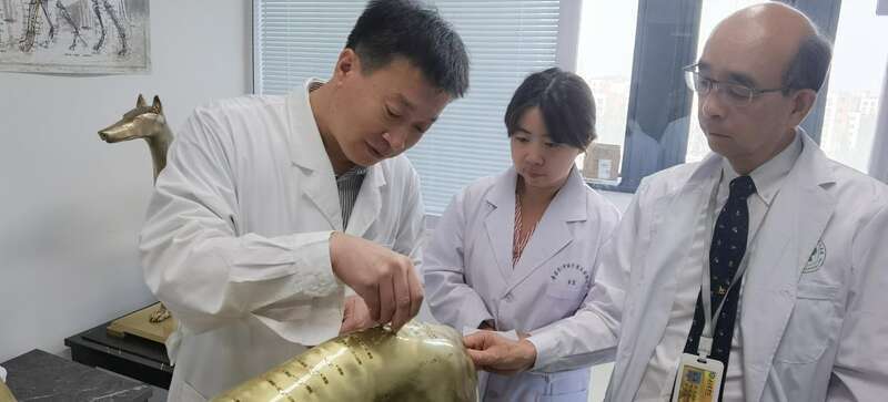 文章图片