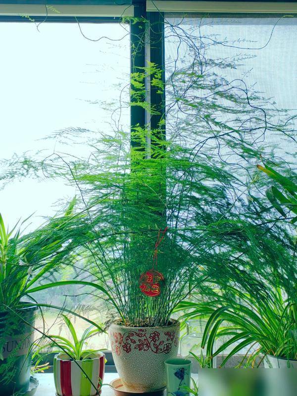 文章图片