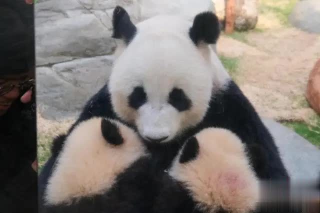 文章图片