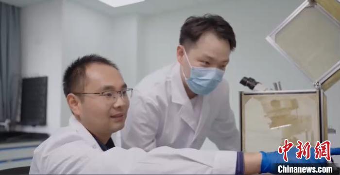文章图片