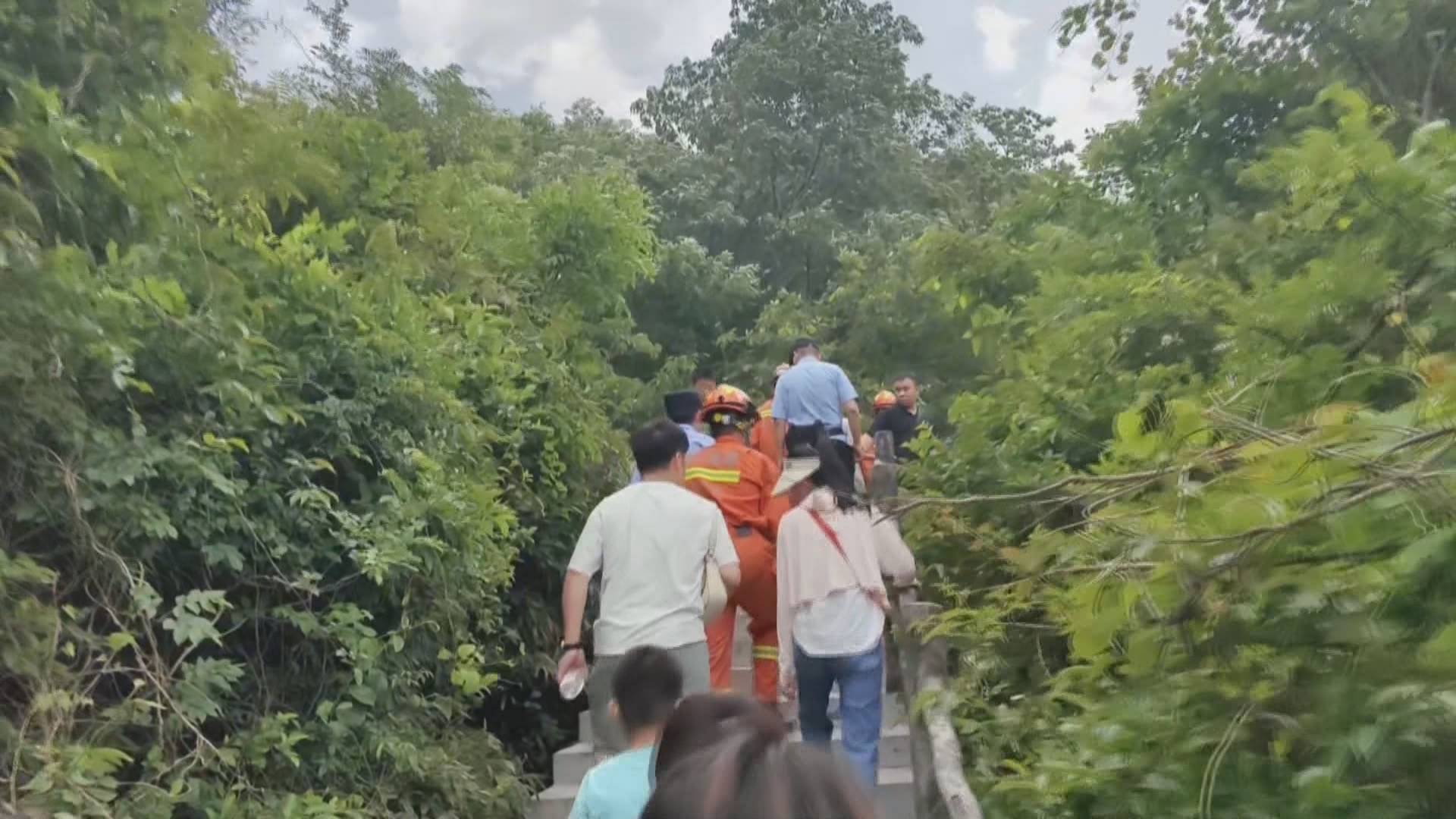 文章图片