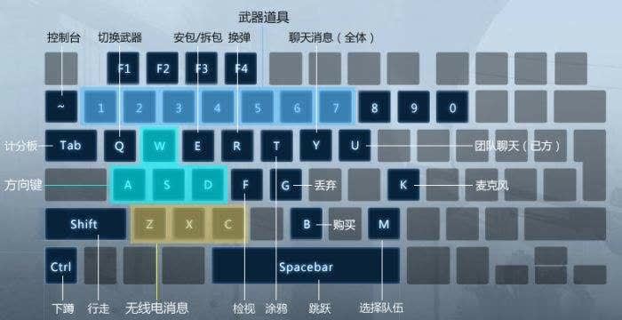 文章图片