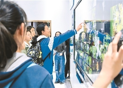 文章图片