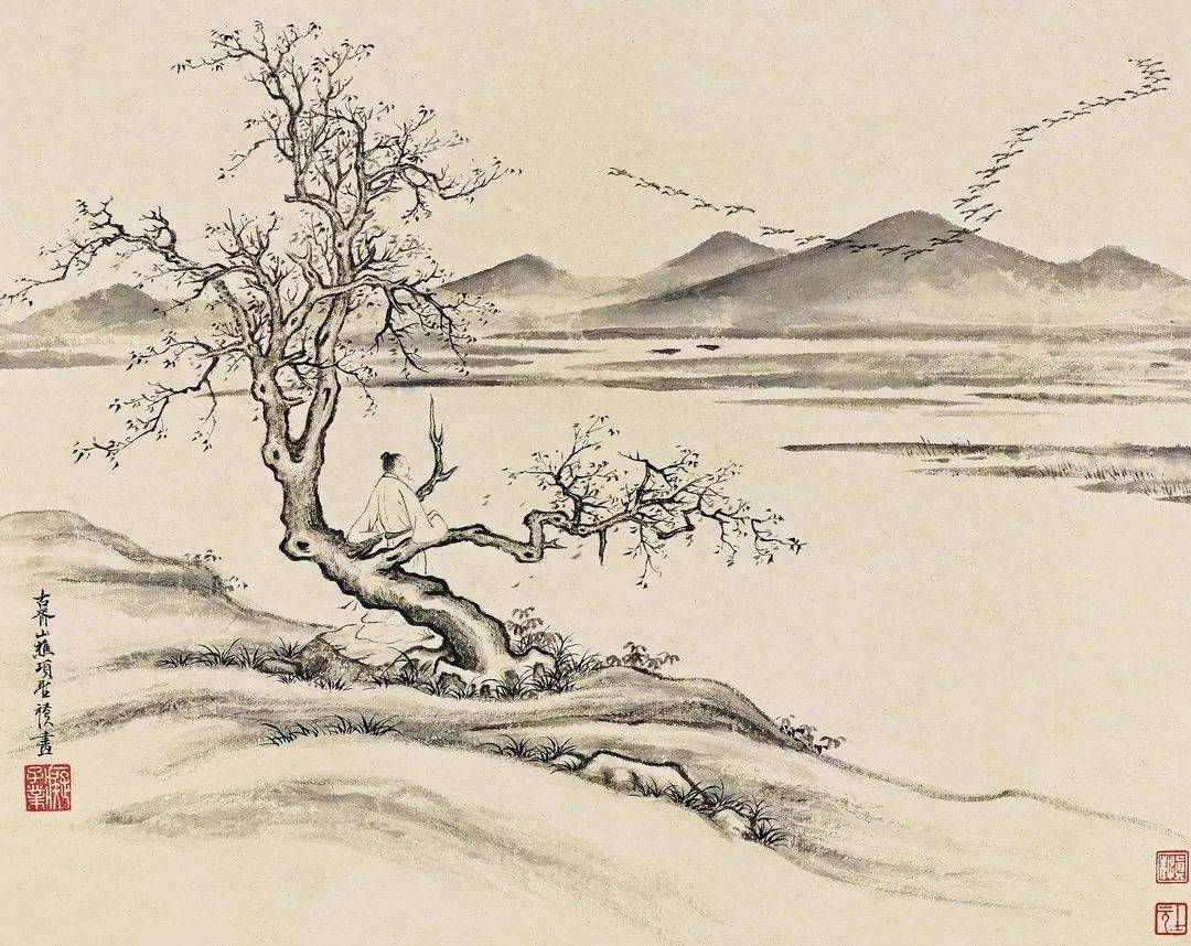文章图片