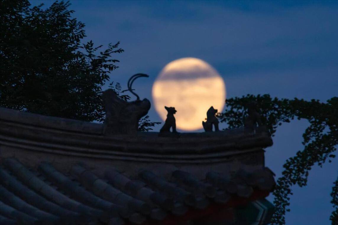 文章图片