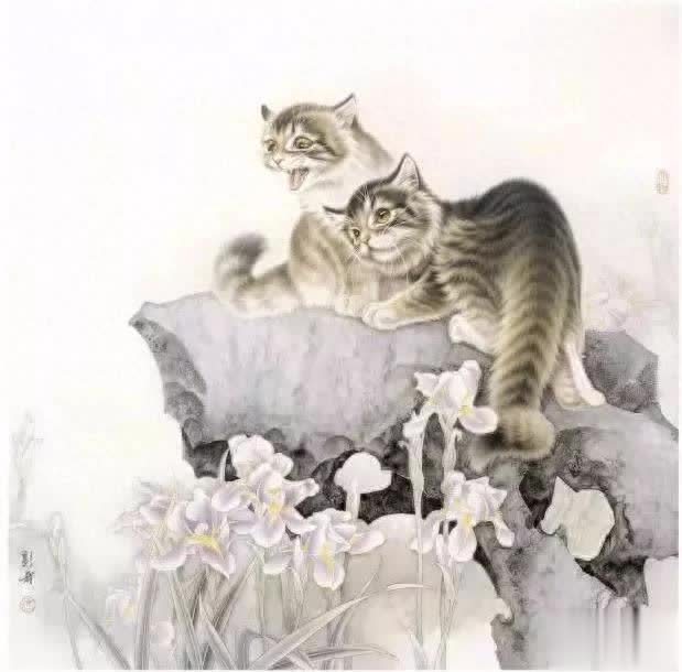 文章图片