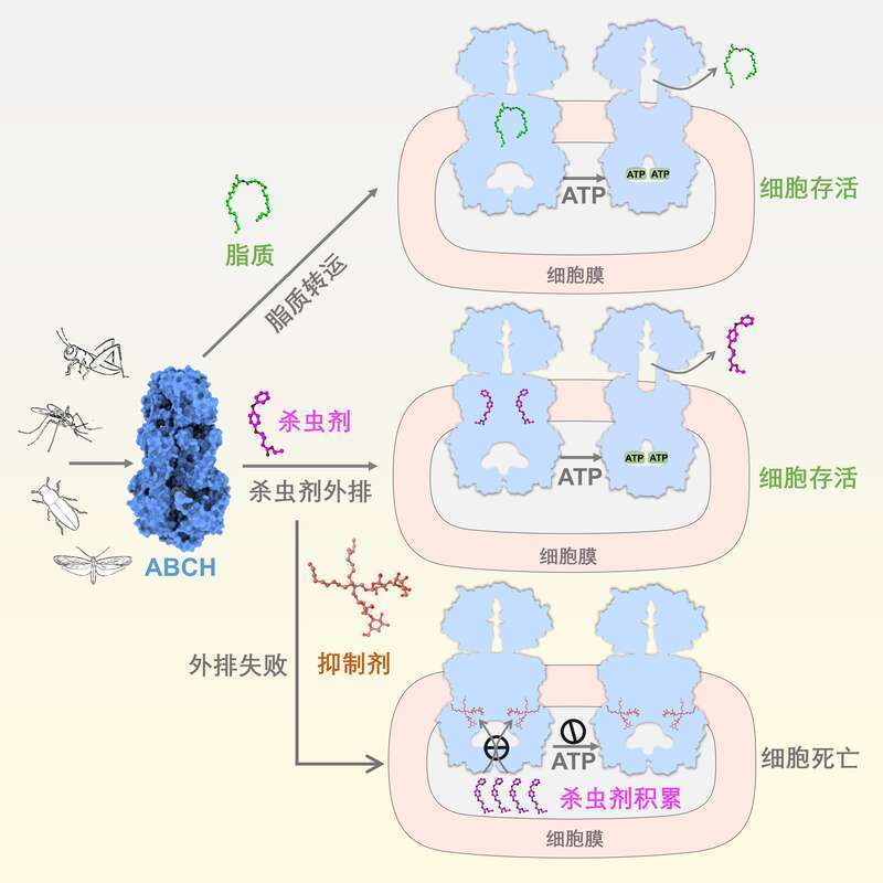 文章图片