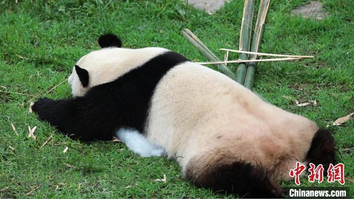 文章图片