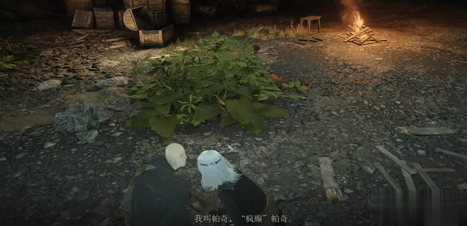文章图片