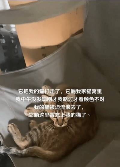 文章图片
