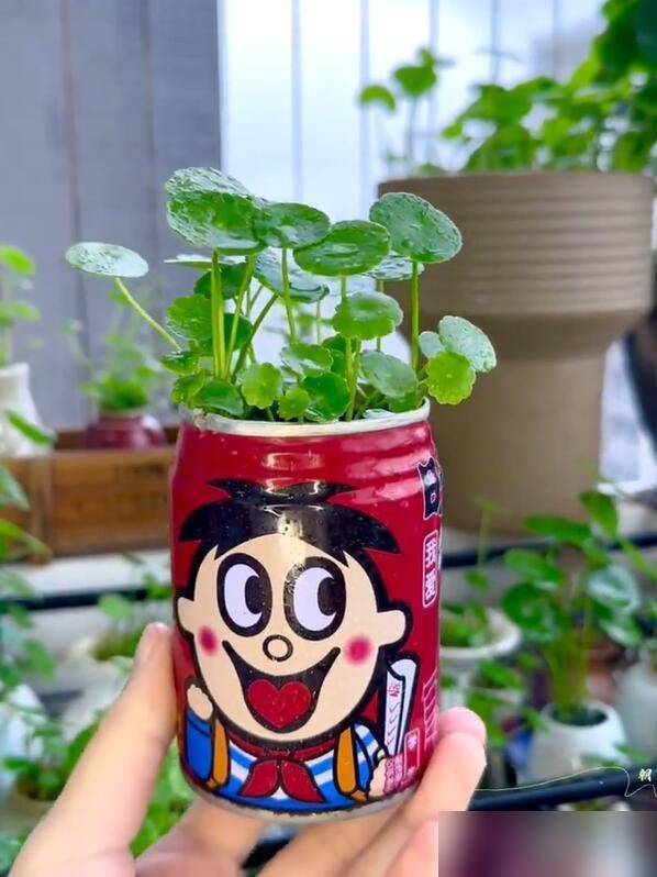 文章图片