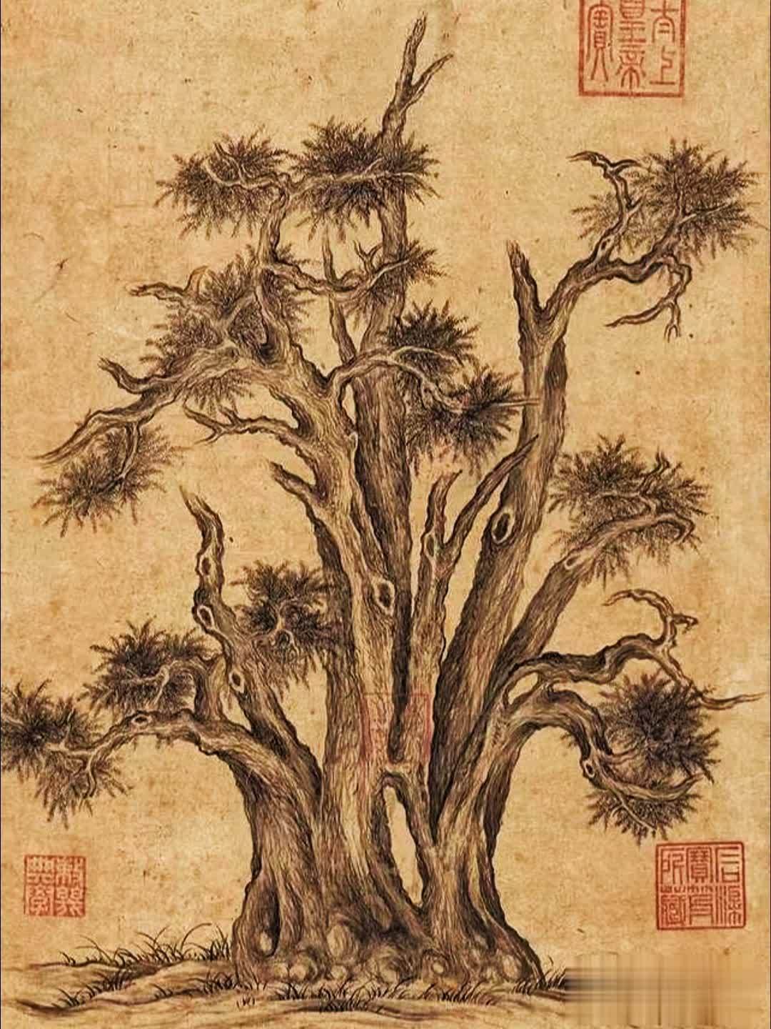 文章图片