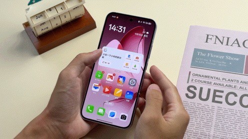 文章图片
