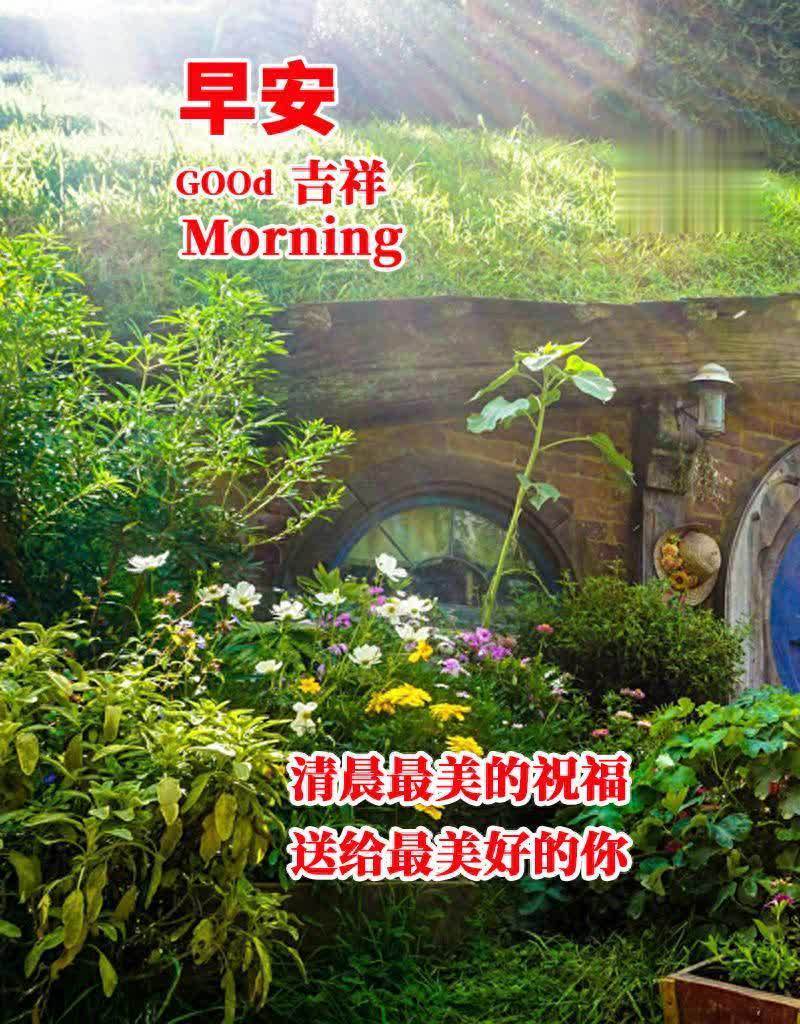 文章图片