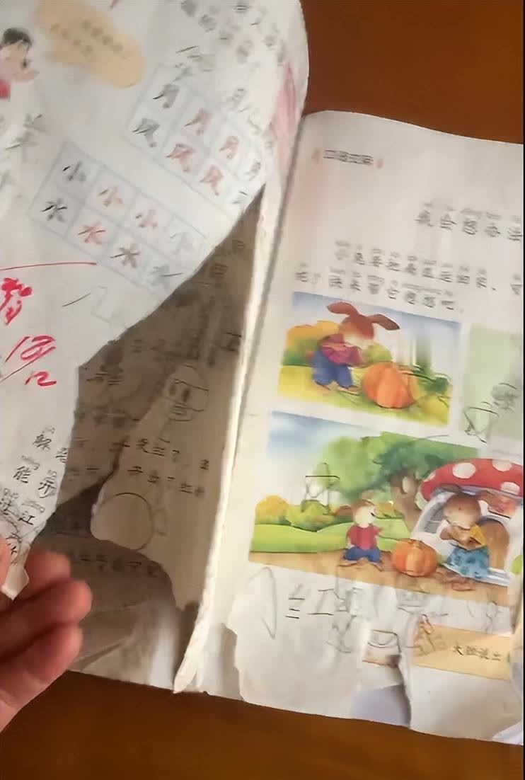 文章图片