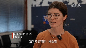 文章图片
